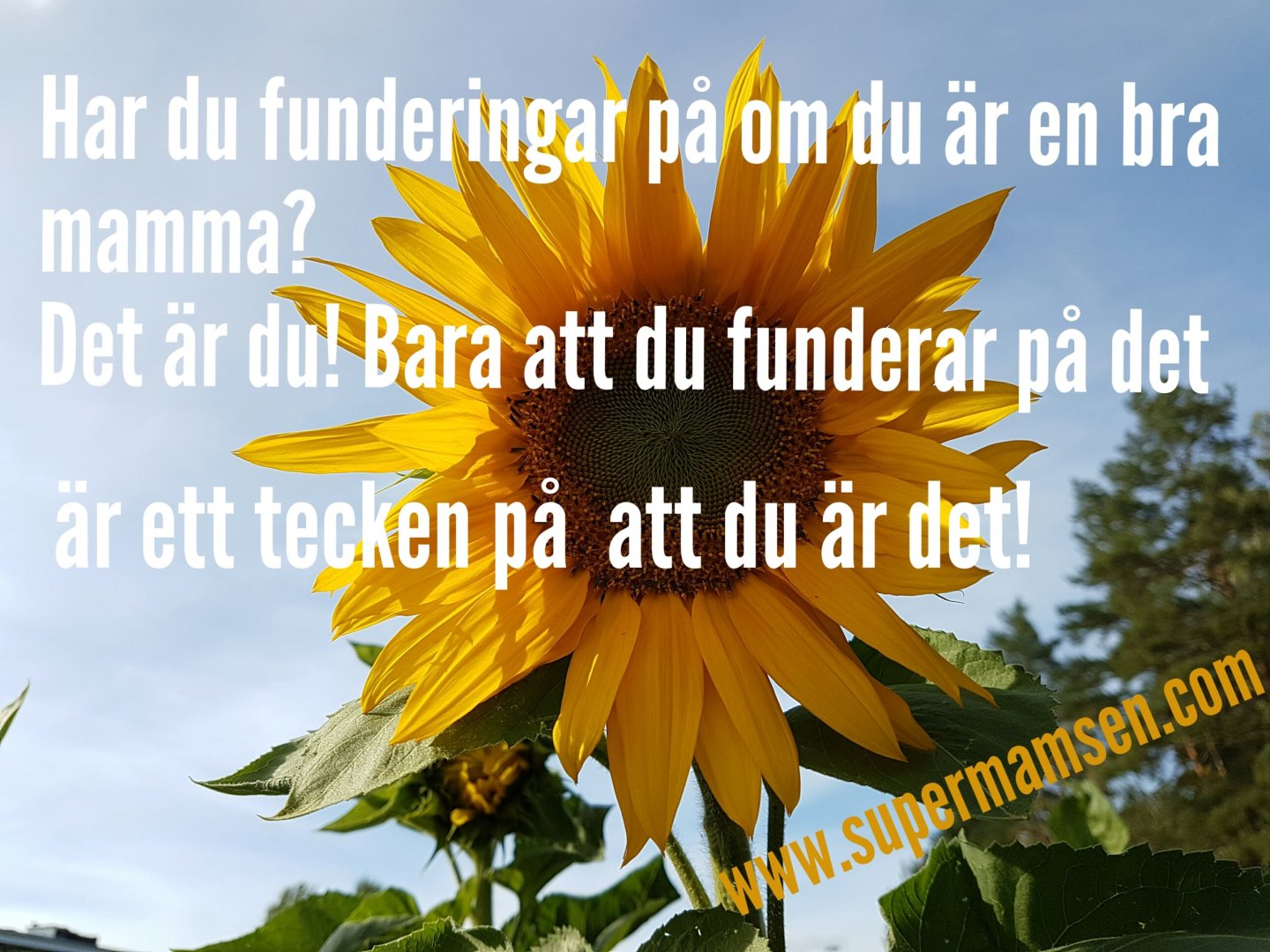 Bilder om livet som NPF-förälder | supermamsen